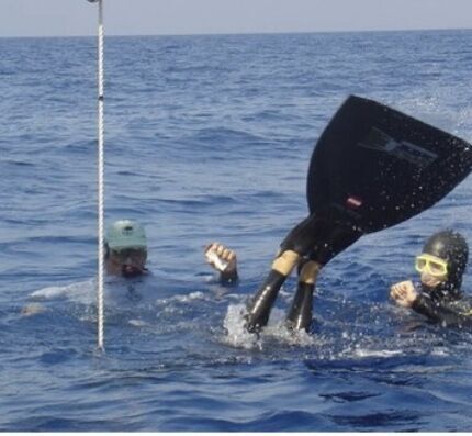 Free-Diving: The Ultimate Extreme Sport