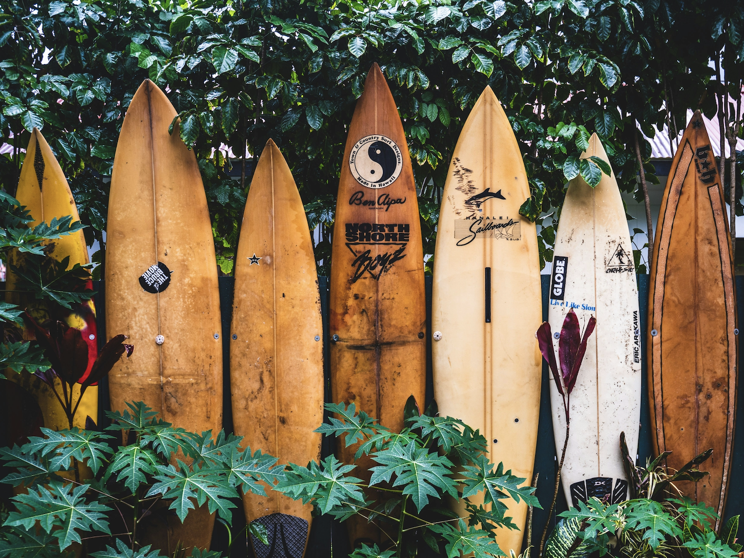Wooden Surfboards: Connect to the roots of surfing