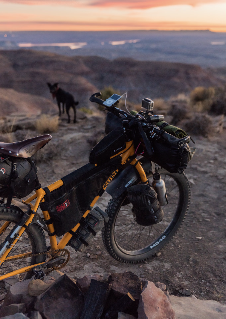 Where to Mt. Bike in Utah: A look at the Wasatch Mountains
