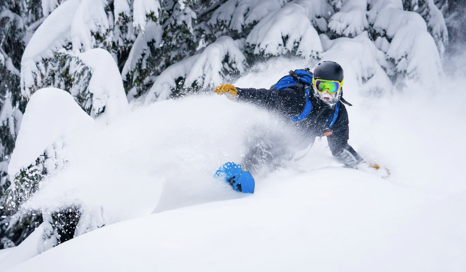 Snowboarding: Park or Powder? Plus, the best snowboards for terrain ...