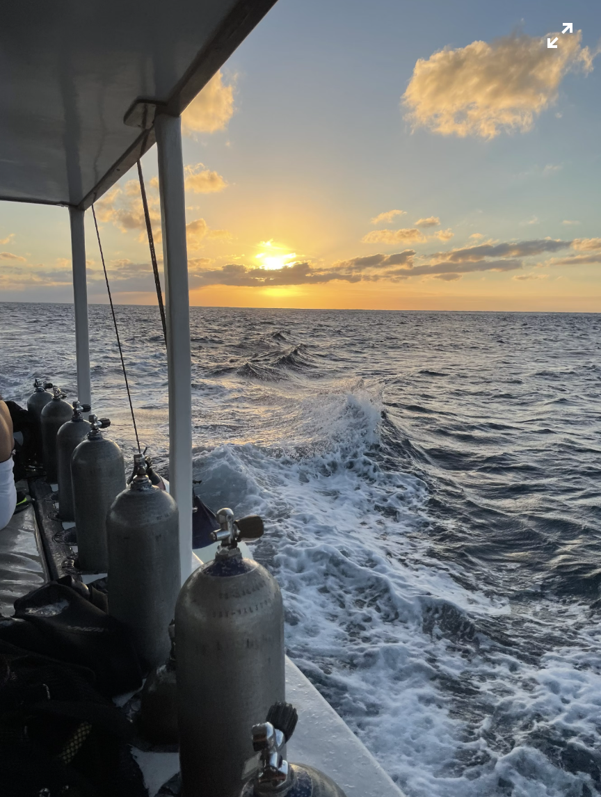 Best Scuba Diving in Hawaii: Explore the Hawaiian archipelago, island ...