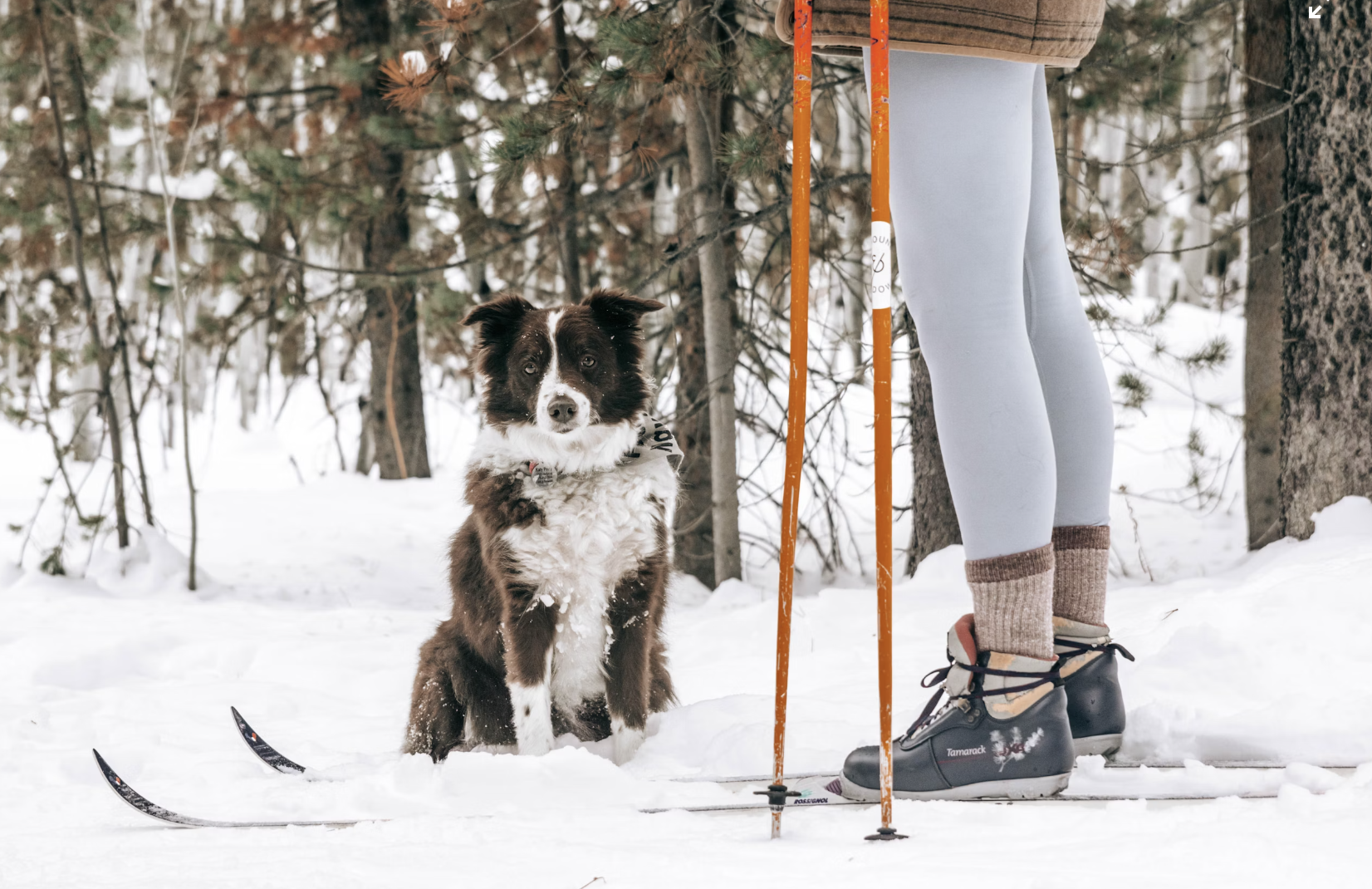 Cross Country Ski Boot Size Chart: Find the right ski boot size for ...