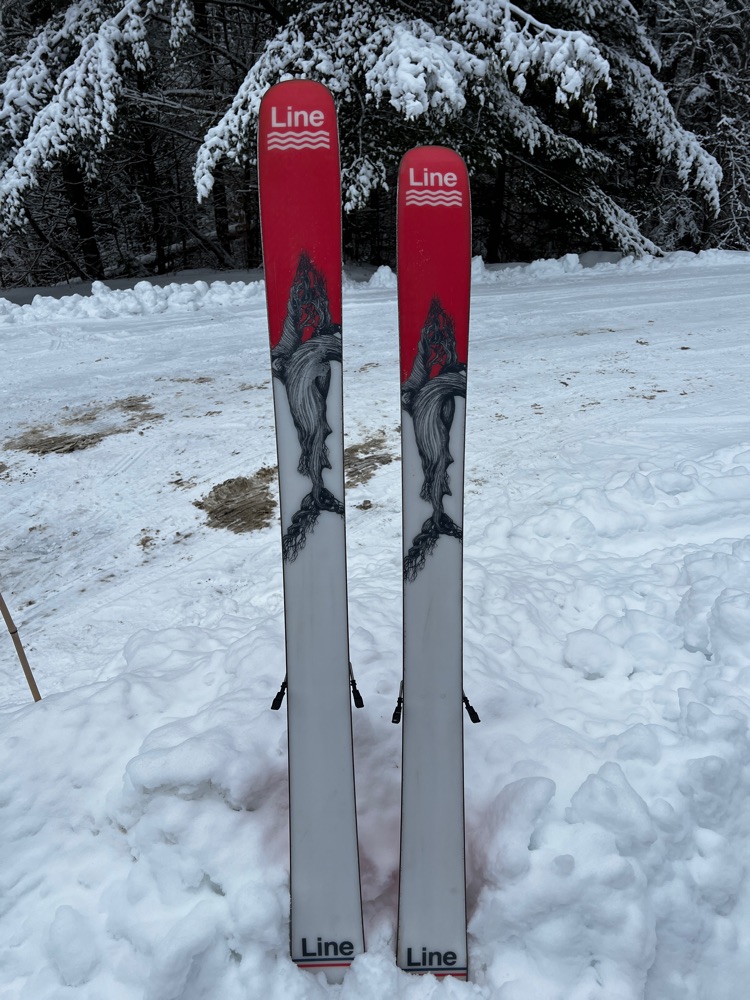 Line sir Francis bacon 165cm with f10 frame bindings and g3 skins ...