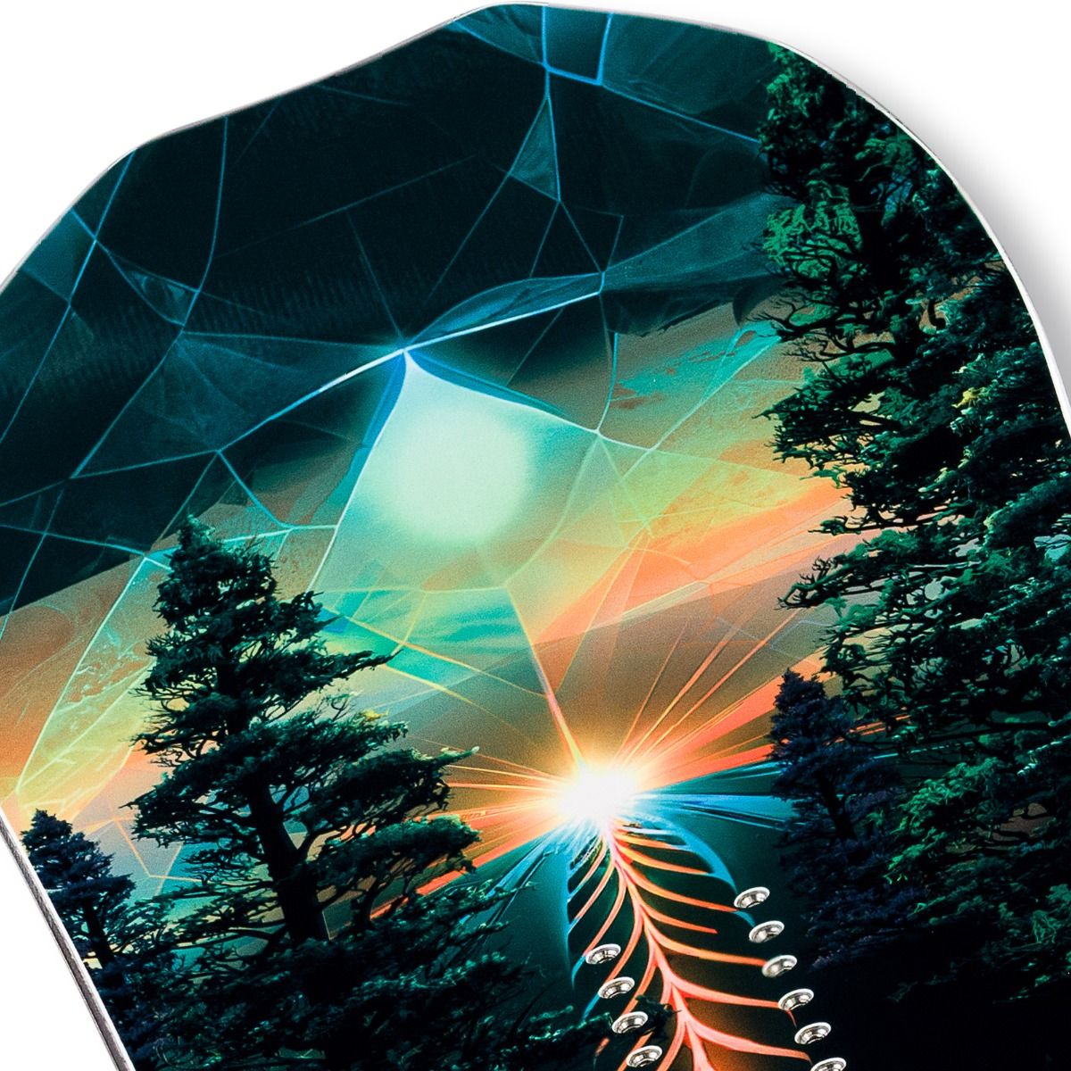 GOLDEN ORCA - Snowboards | SENDY